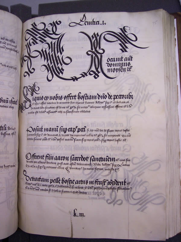 Manuscripts Gallery | New College