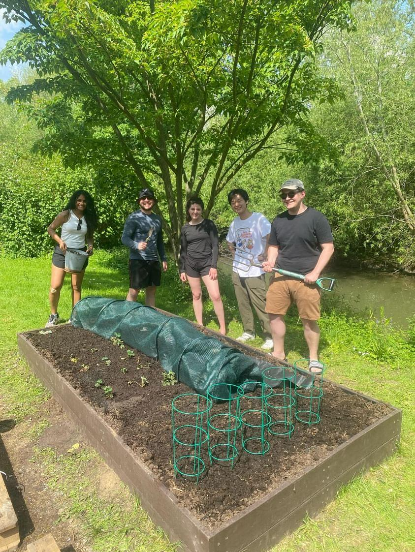 New College MCR builds new vegetable patch at Weston Buildings | New ...